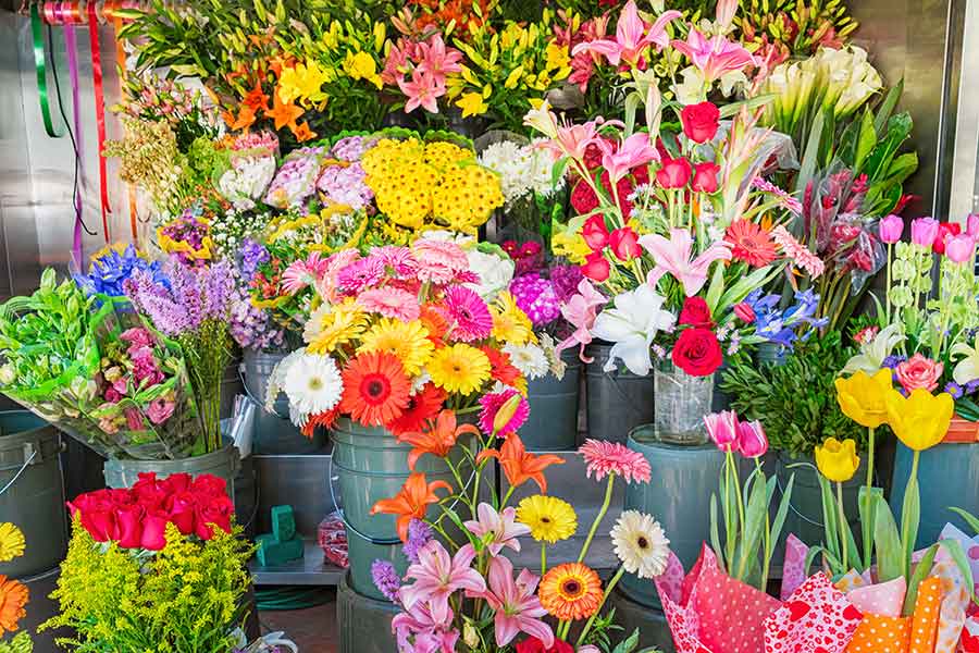 Floriography: choosing the best flowers for every occasion | RACV