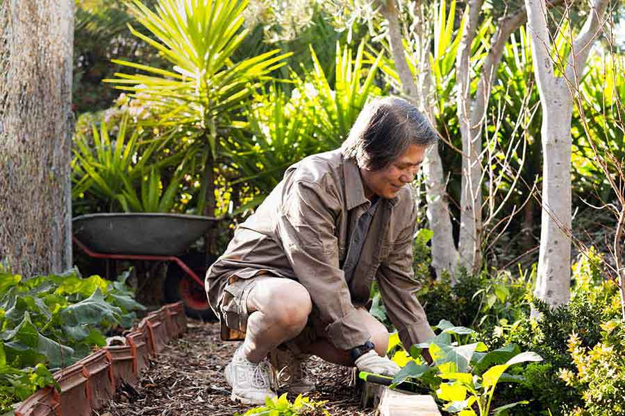 You guide to garden mulching: the best types, tips and textures | RACV