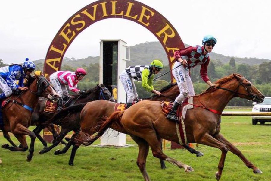 Picnic racing: Five of the best in regional Victoria | RACV