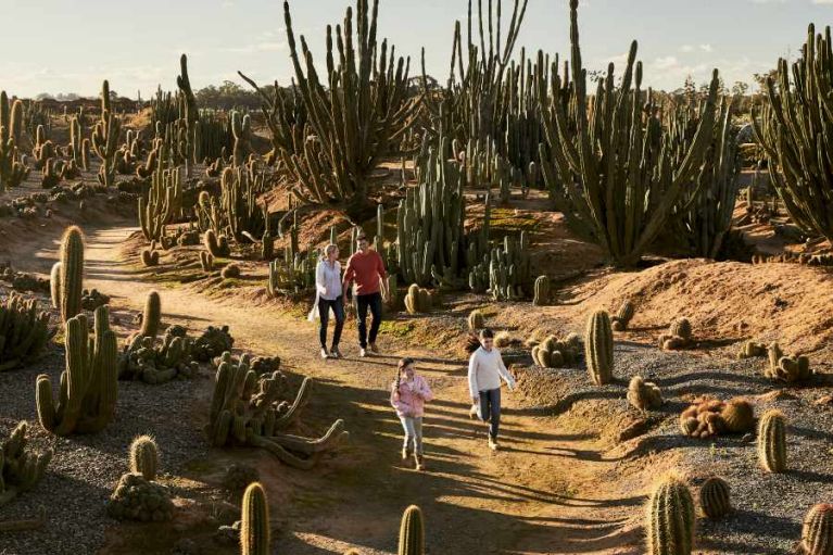 Victoria Travel Guides & Advice | RACV