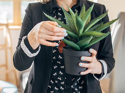 Contents Insurance Quote Victoria – Contents Only | RACV