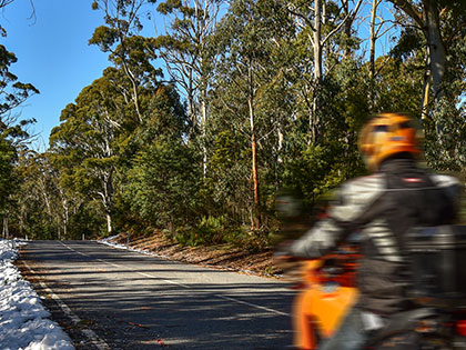 Comprehensive Motorcycle Insurance quote | RACV