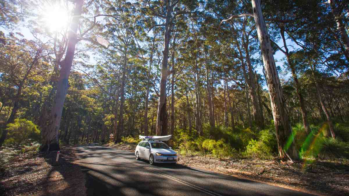 Get road trip ready with this car safety checklist | RACV