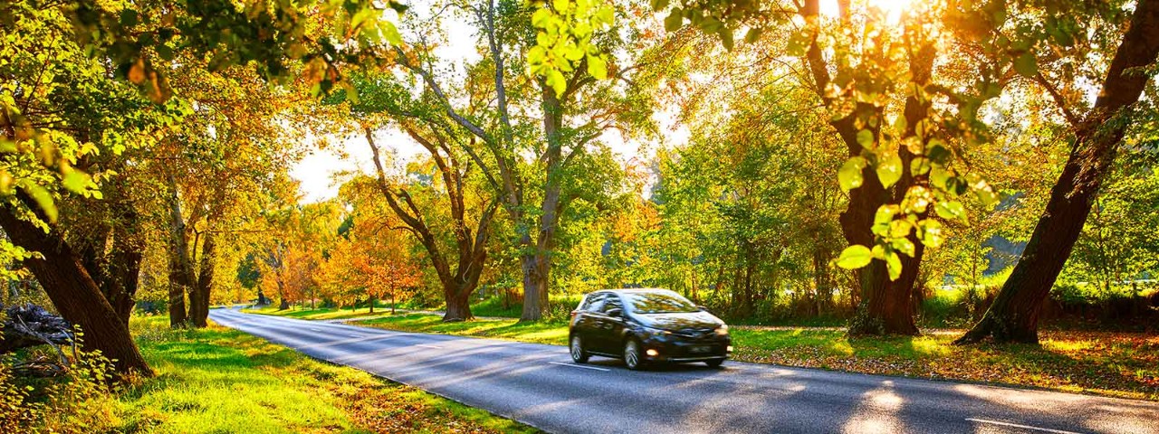 7 of the best road trips and scenic drives in Victoria | RACV