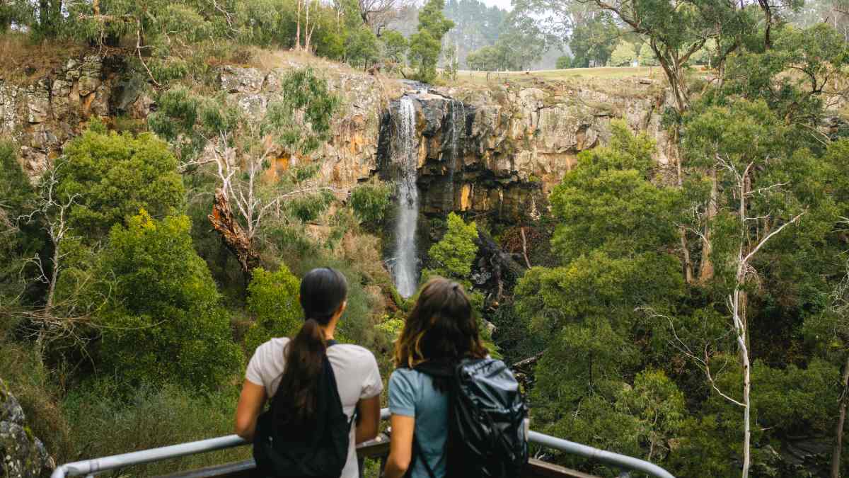 Everything to see, eat and do in Daylesford | RACV